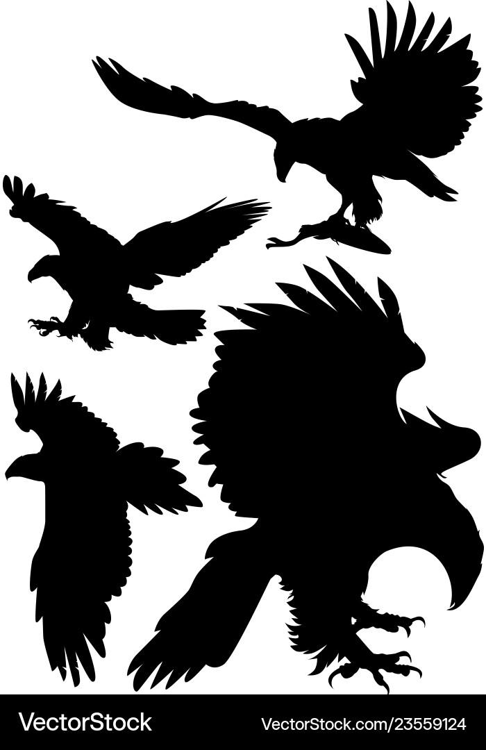 Soaring eagles Royalty Free Vector Image - VectorStock