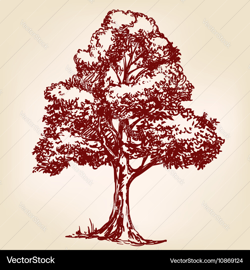 Tree hand drawn sketch Royalty Free Vector Image