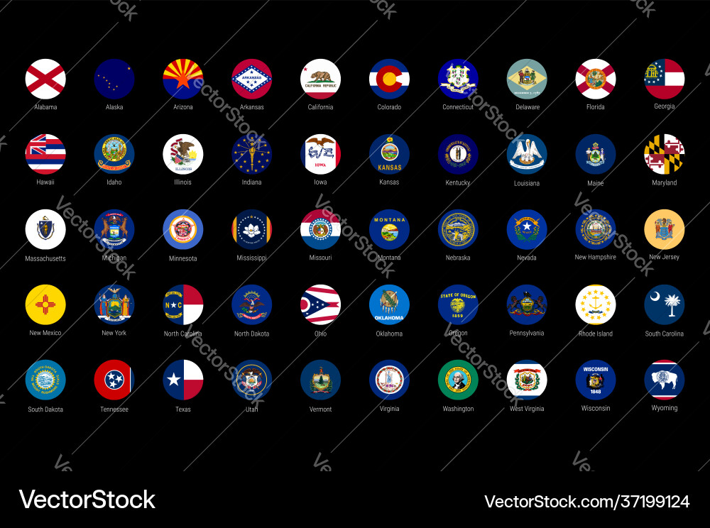 USA State Flags - All 50 States Royalty Free Vector Image
