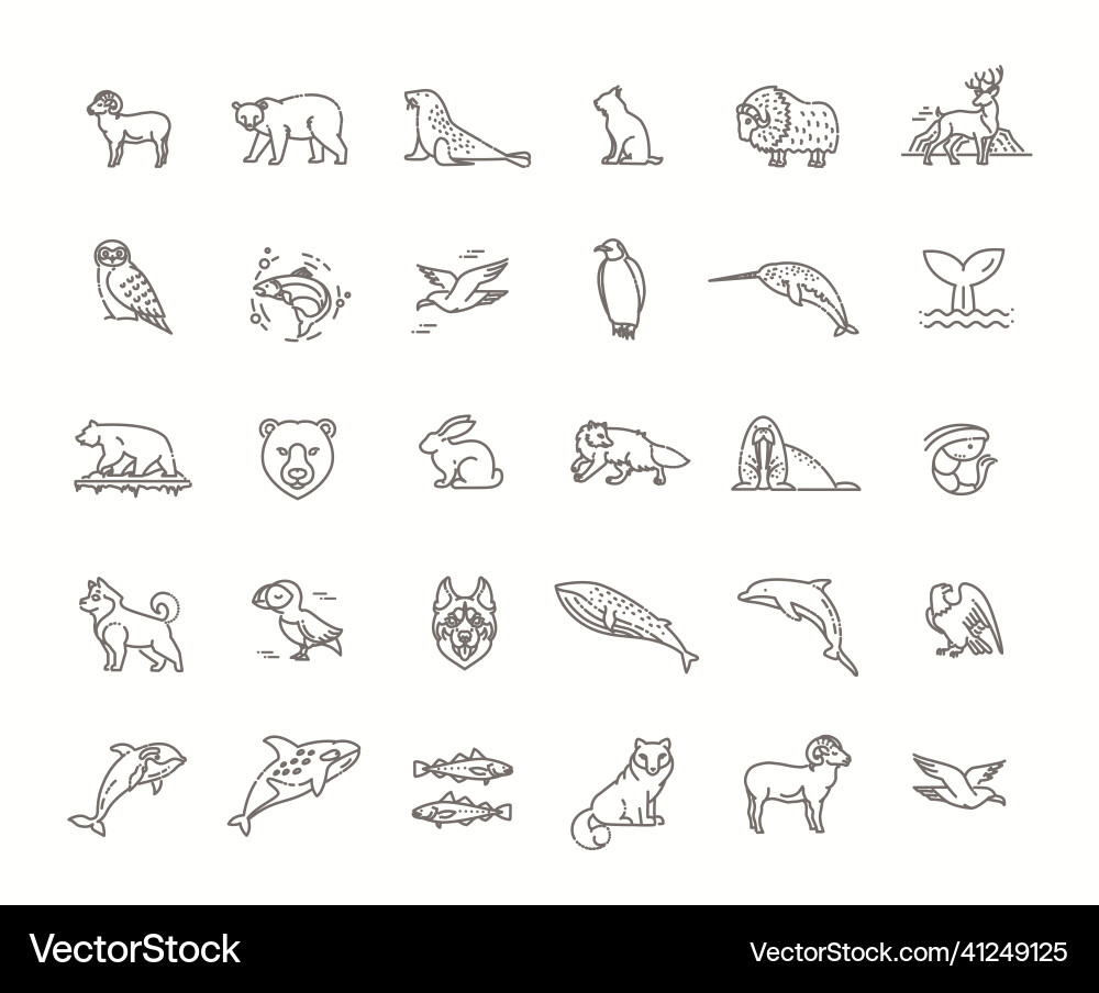 Arctic Animal Collection Royalty Free Vector Image