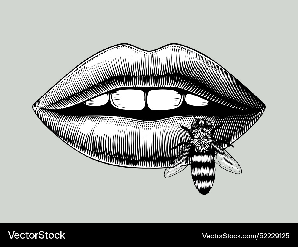 Female lips with a bee Royalty Free Vector Image
