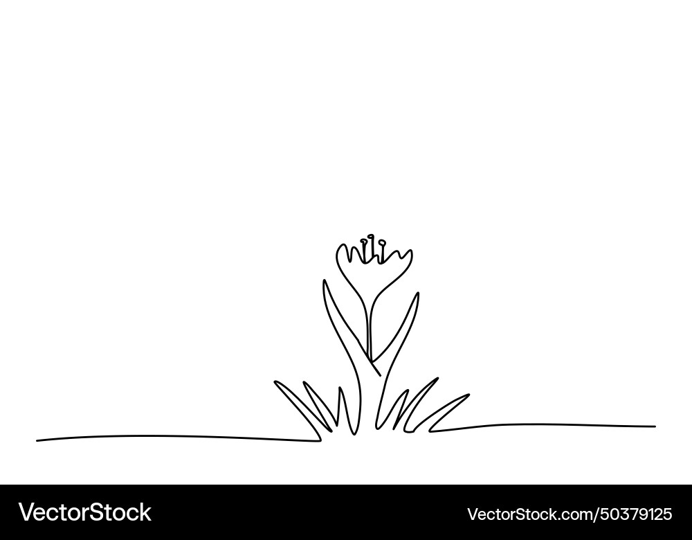 Flower one line drawing Royalty Free Vector Image