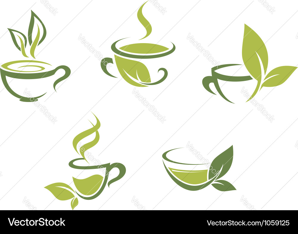 Green tea Royalty Free Vector Image - VectorStock