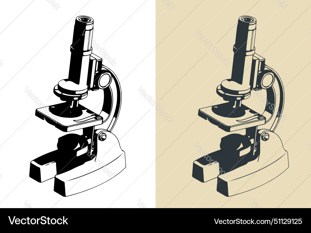 Microscope Royalty Free Vector Image - VectorStock