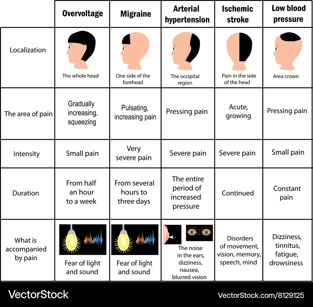 Types of headaches driving table infographics Vector Image