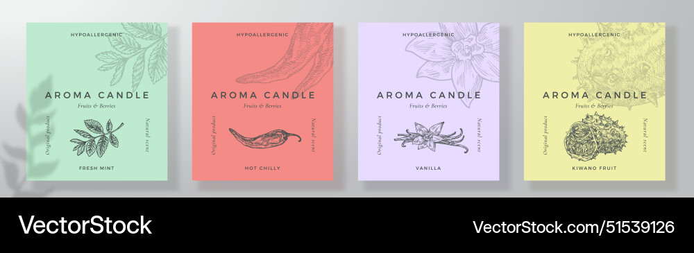 Aroma candle label design templates set scented Vector Image
