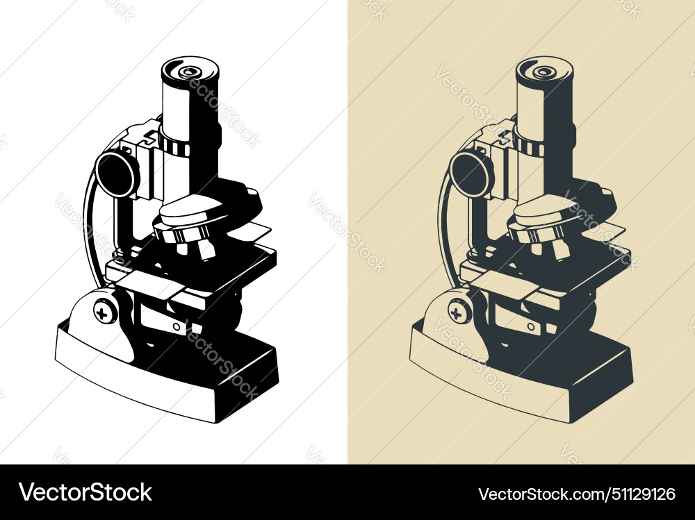 Microscope Royalty Free Vector Image - VectorStock