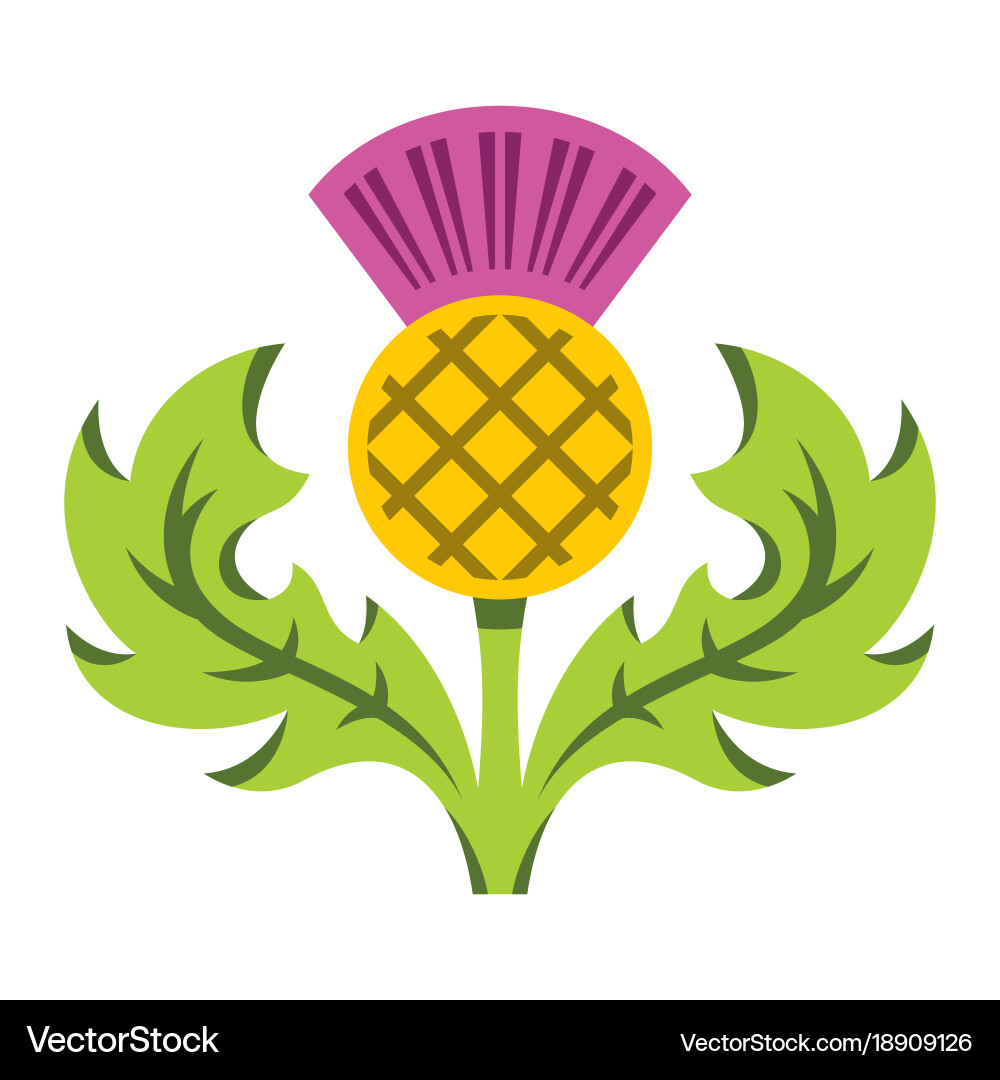 Scottish Thistle Flat Icon Royalty Free Vector Image