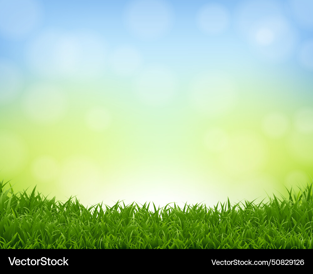 Spring banner nature background and grass border Vector Image