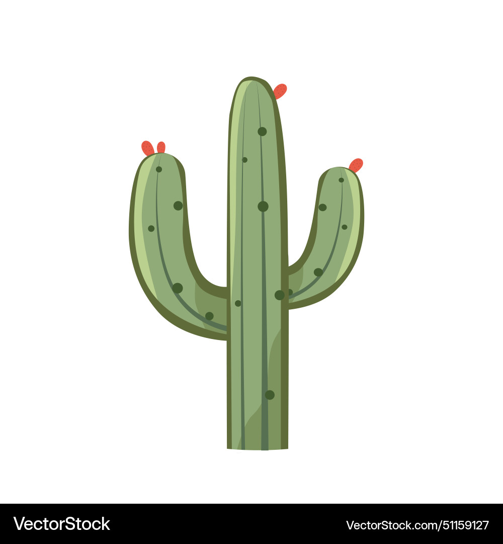Cactus plant in flat style cacti tree Royalty Free Vector