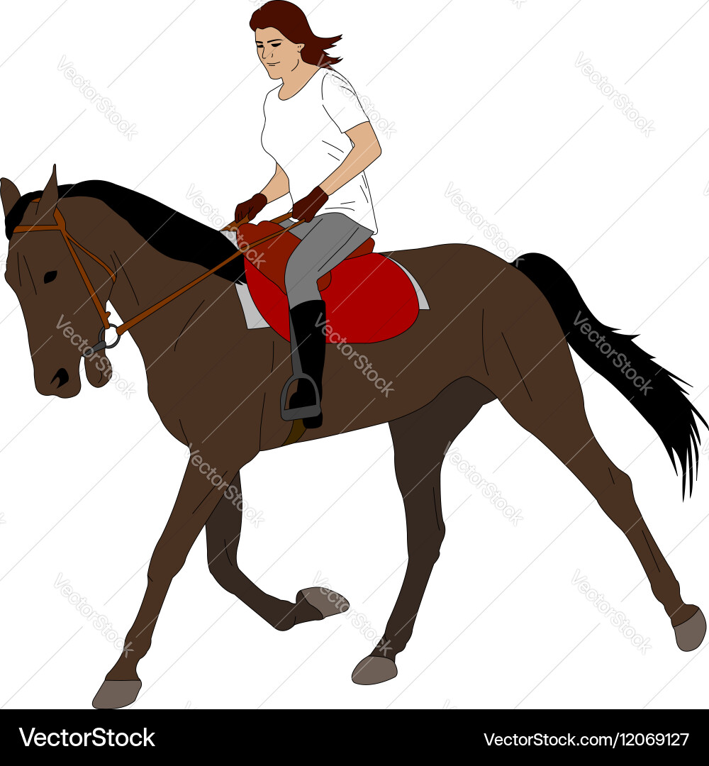 Woman riding horse Royalty Free Vector Image - VectorStock