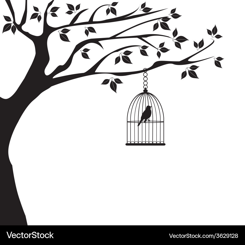 Bird cage tree Royalty Free Vector Image - VectorStock
