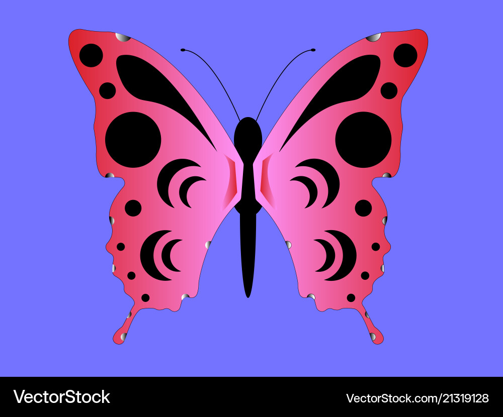 Butterfly Royalty Free Vector Image - VectorStock