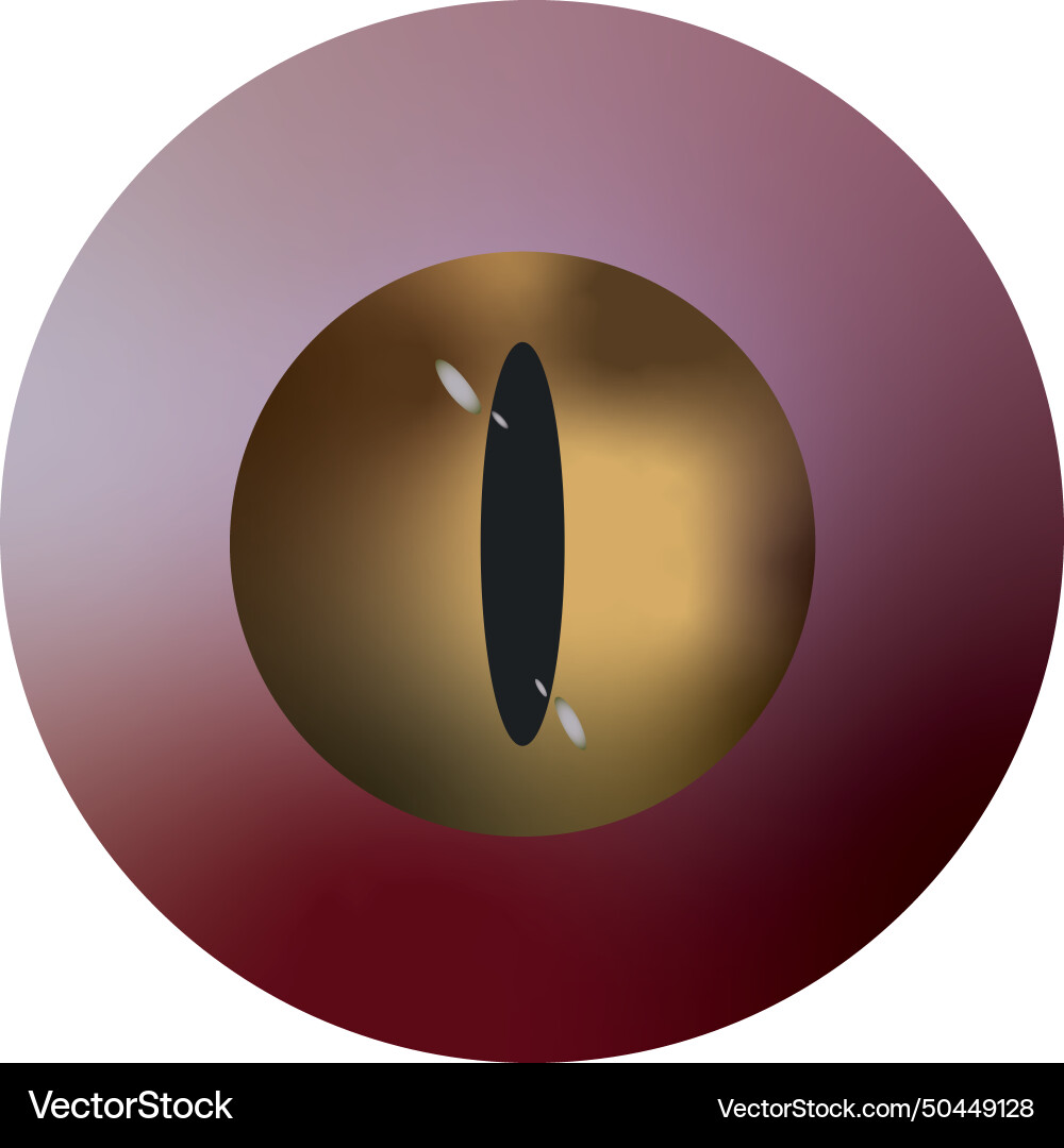 Colored detailed eyeball Royalty Free Vector Image