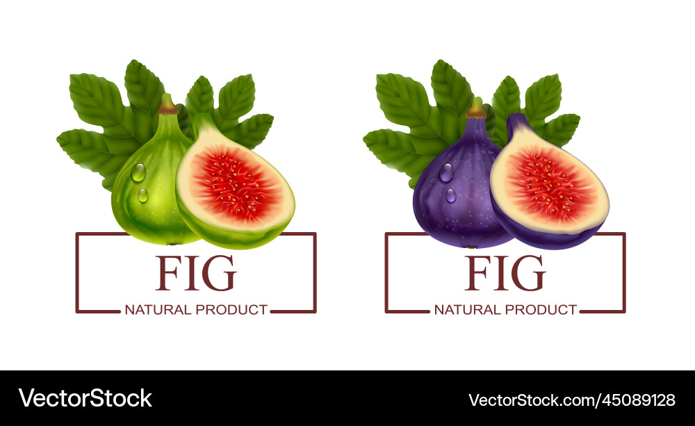 Fig labels realistic set Royalty Free Vector Image