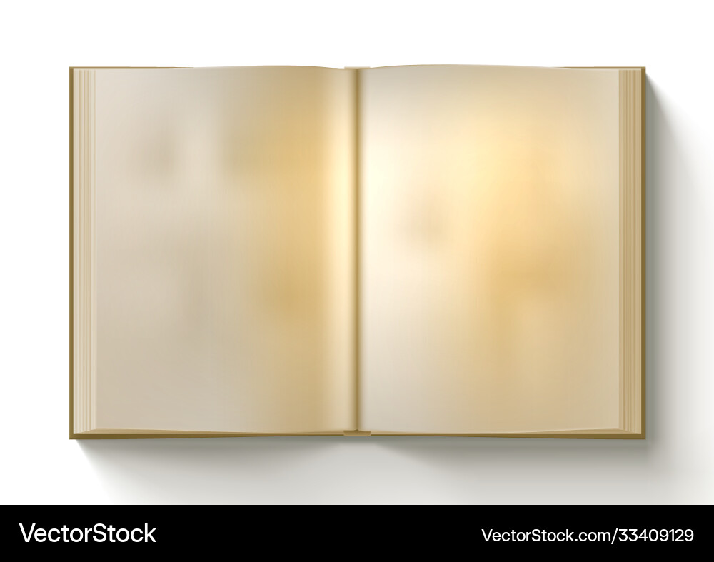 Open blank clear old book on white background Vector Image