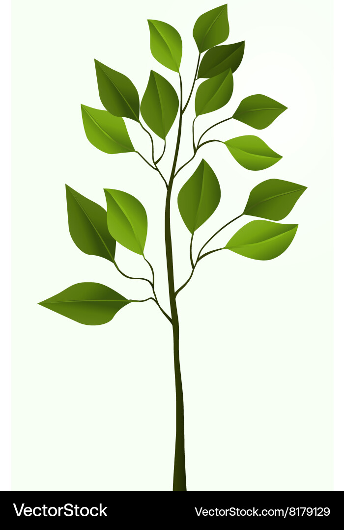 Tree Royalty Free Vector Image - VectorStock