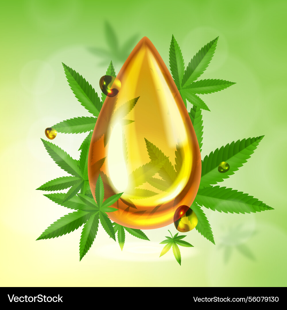Cbd oil drop composition Royalty Free Vector Image