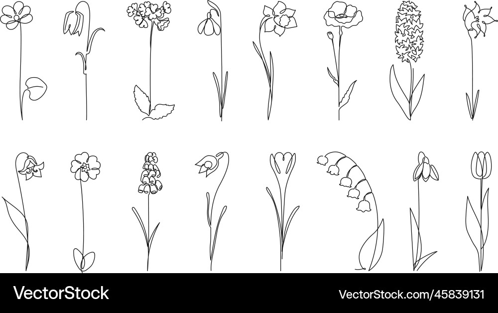 Continuous one line spring flowers botanicals Vector Image
