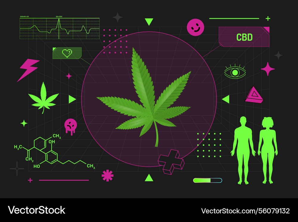 Cbd marijuana infographics Royalty Free Vector Image
