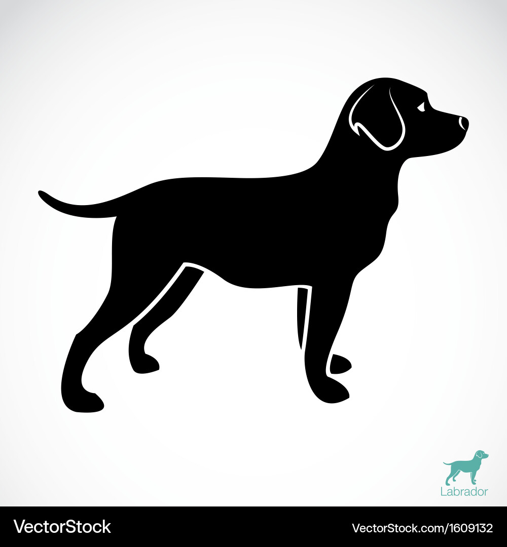 Labrador Vector Images (over 12,000)