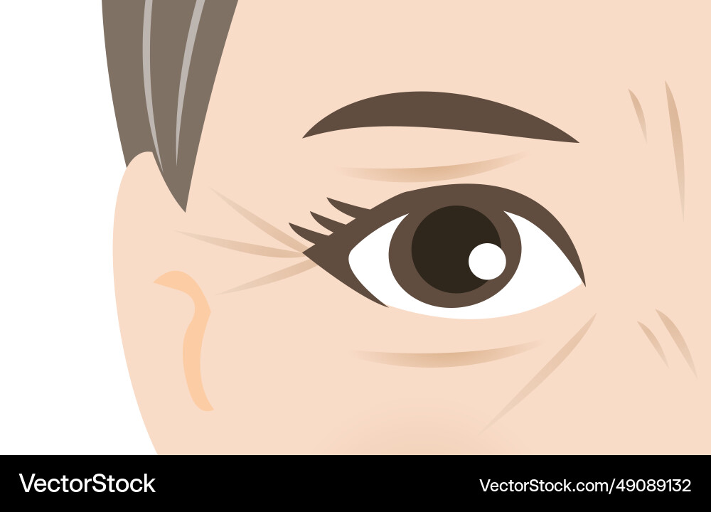 Eye Wrinkles Vector Images (over 2,200)