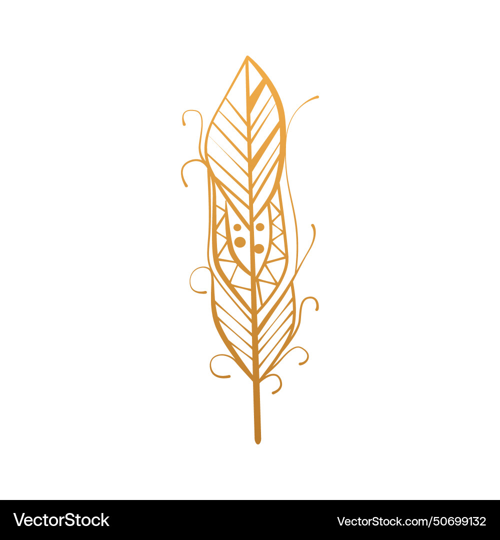 Gold feather of bird golden gradient line Vector Image