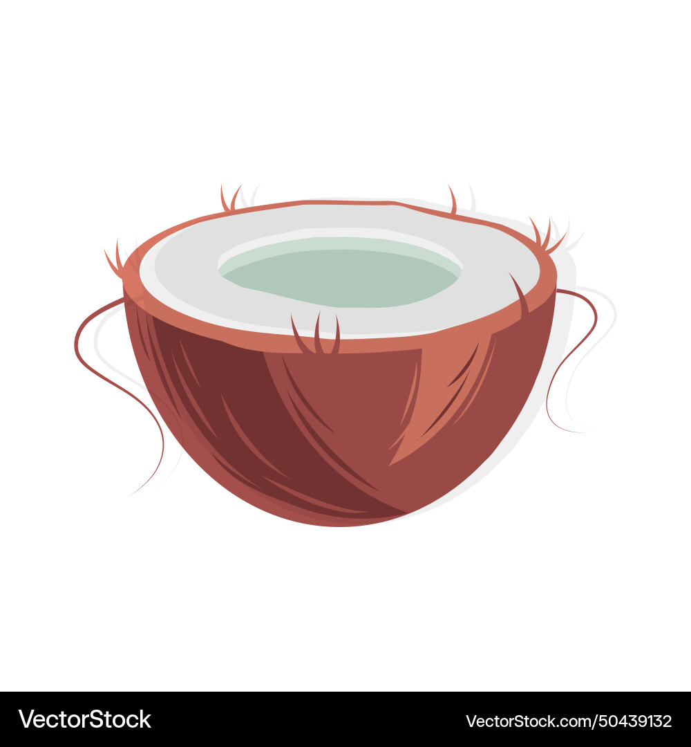 Isolated half fresh coconut in cartoon styles Vector Image