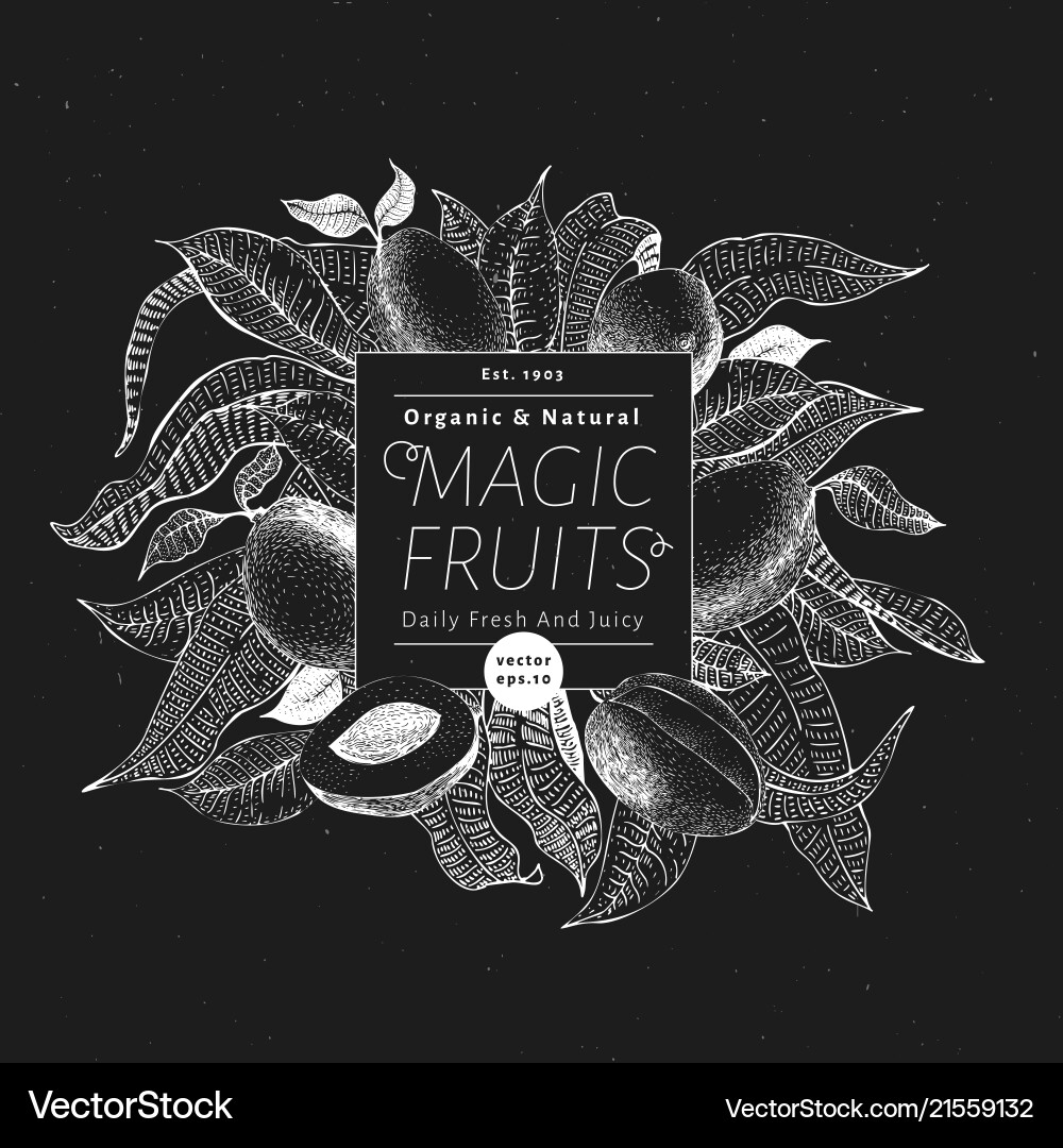 Mango fruit banner template hand drawn Royalty Free Vector