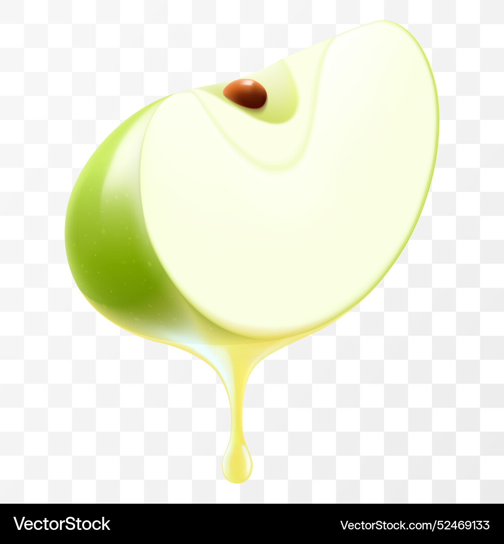 Apple juice dripping from fresh sliced green Vector Image