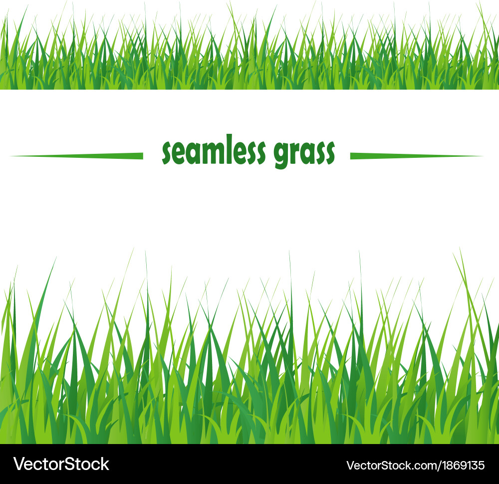 Back Garden Vector Images (over 3,700)