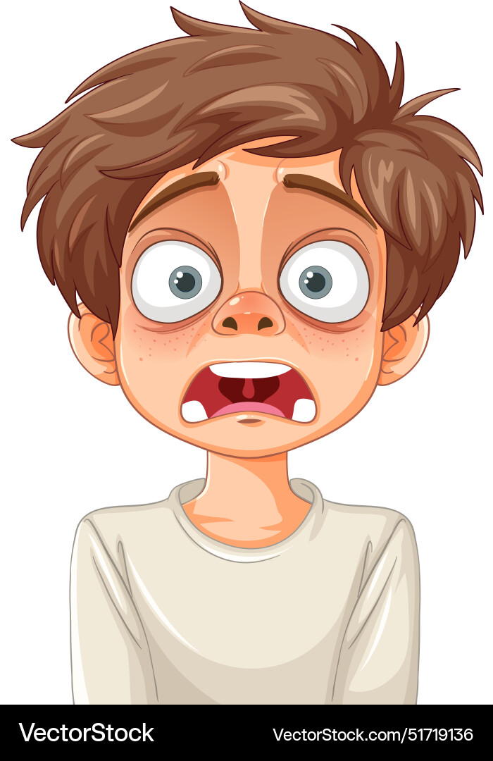 A boy with shocked expression Royalty Free Vector Image