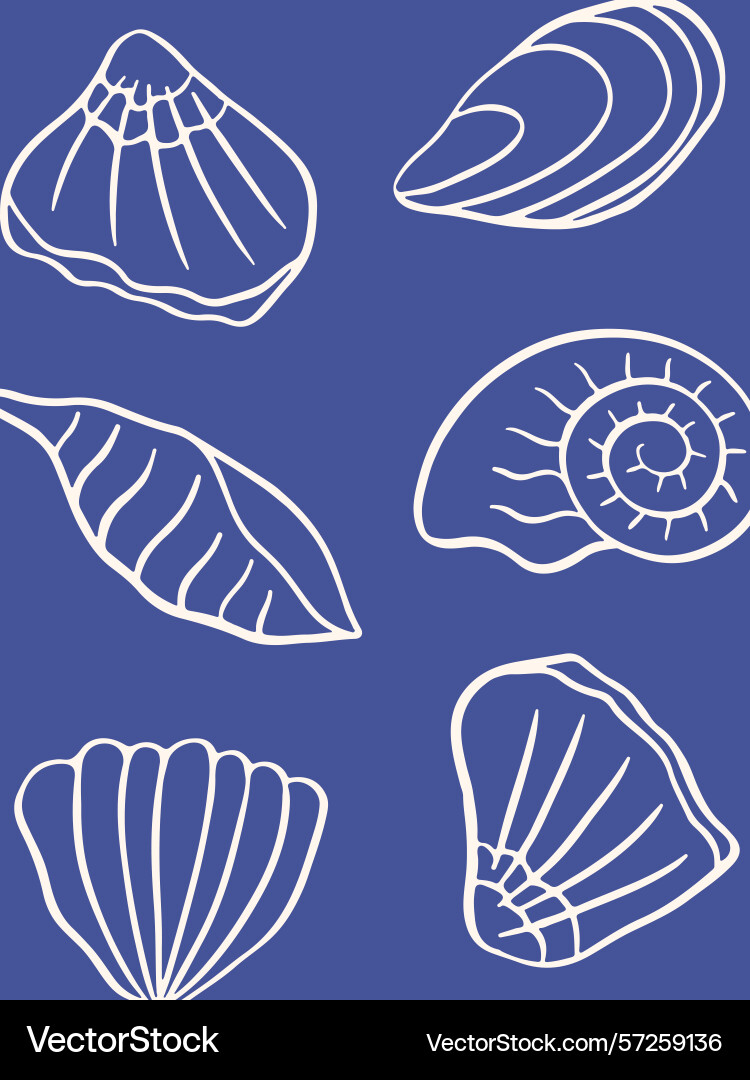 Hand drawn seashell poster Royalty Free Vector Image