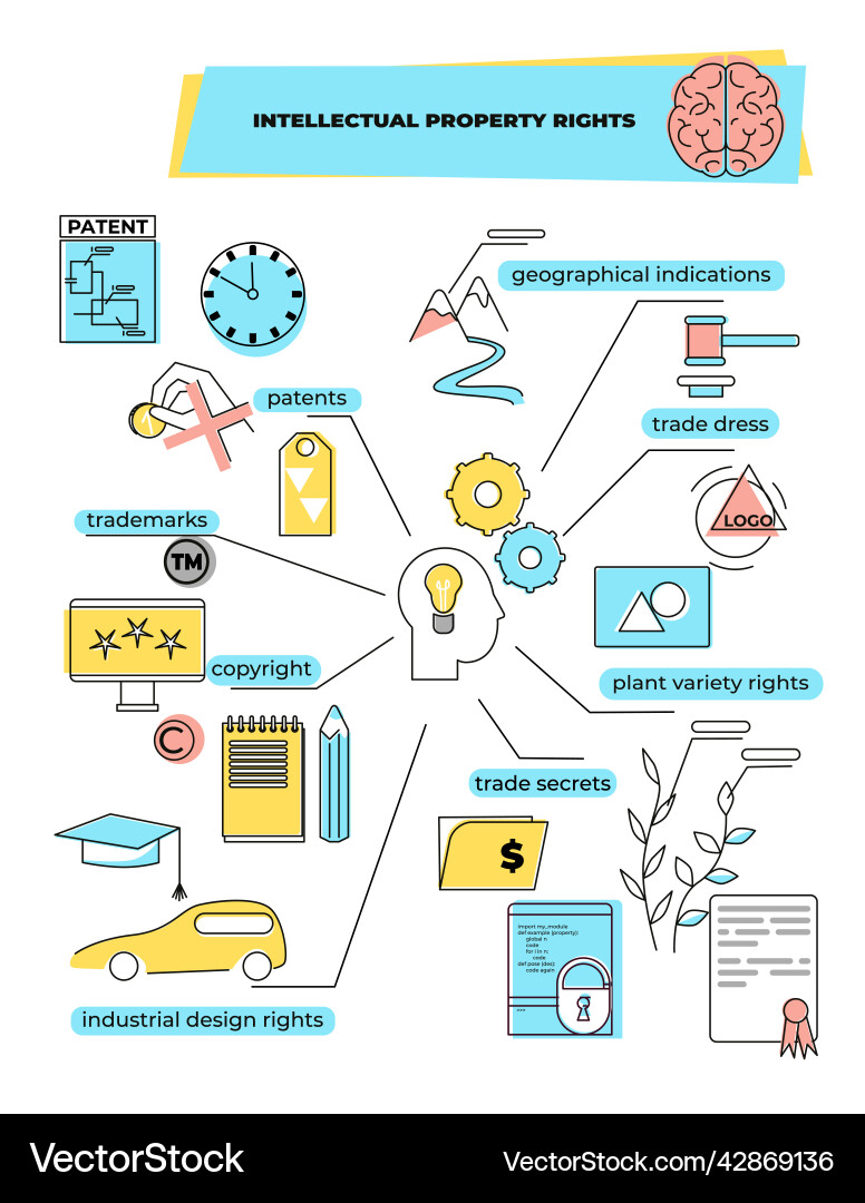 Intellectual Property Infographics Royalty Free Vector Image