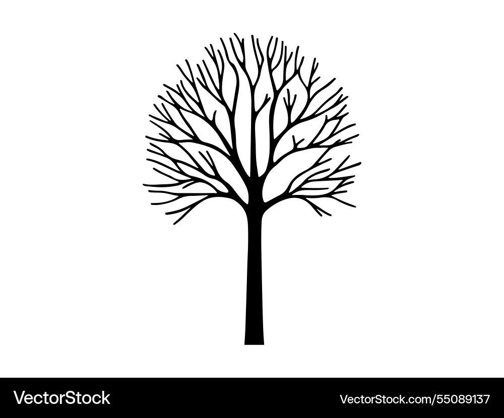 Dead tree silhouette Royalty Free Vector Image