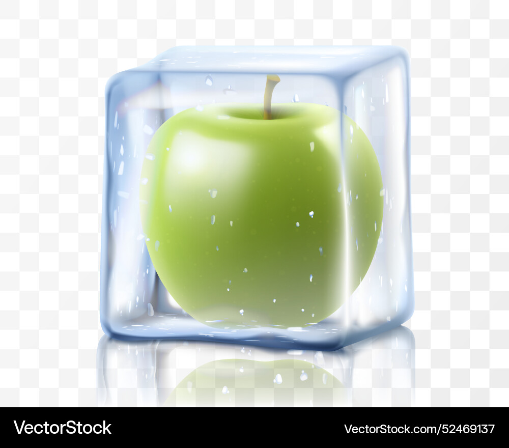 Fresh ripe apple in ice cube isolated Royalty Free Vector