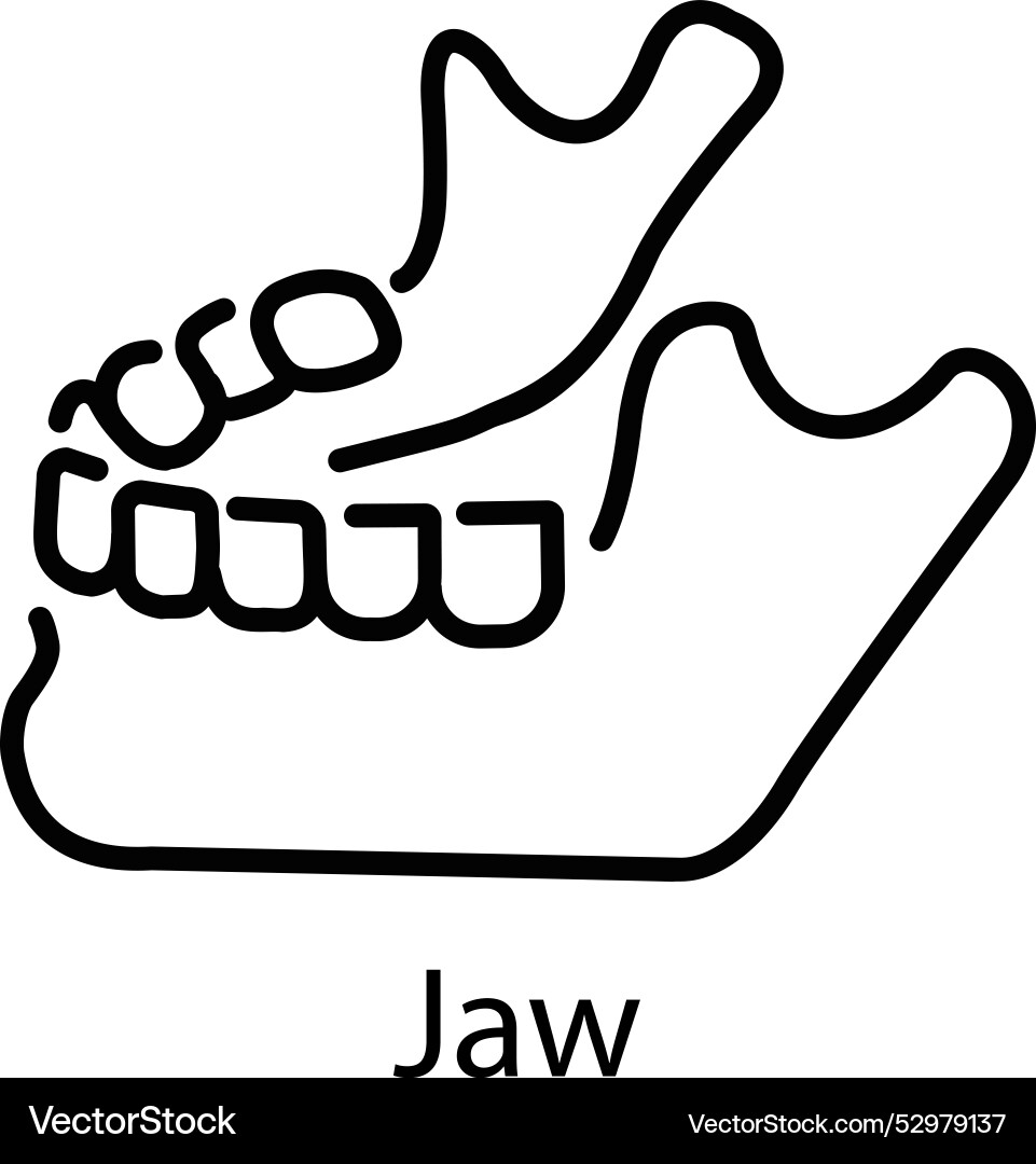 Jaw Royalty Free Vector Image - VectorStock