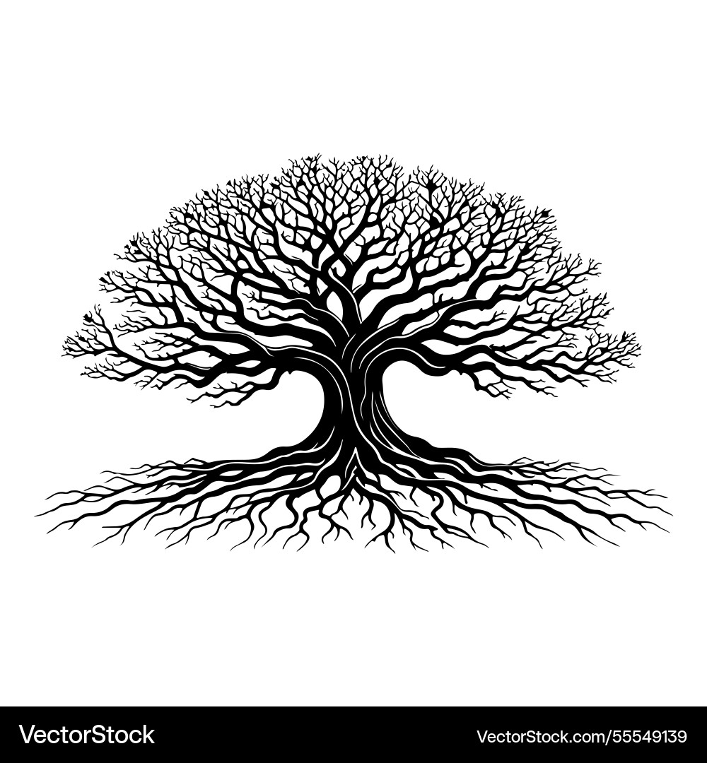 A large oak tree with detailed branches and roots Vector Image