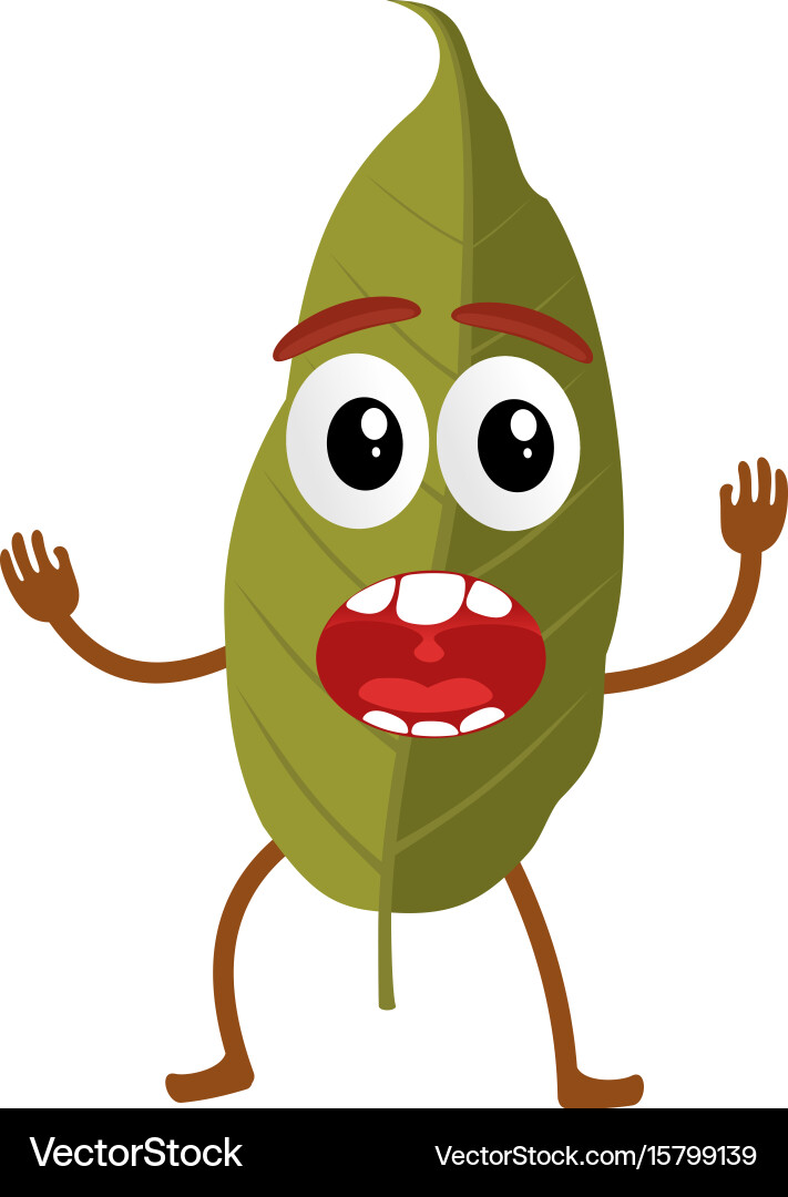 Bay leaf cartoon Royalty Free Vector Image - VectorStock