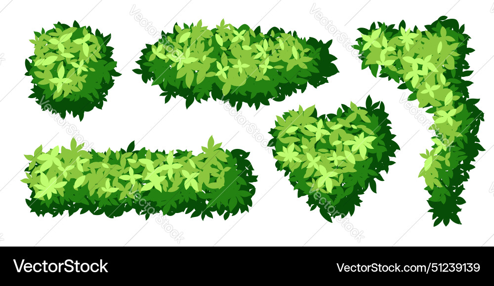 Bush decorative collection foliage design elements