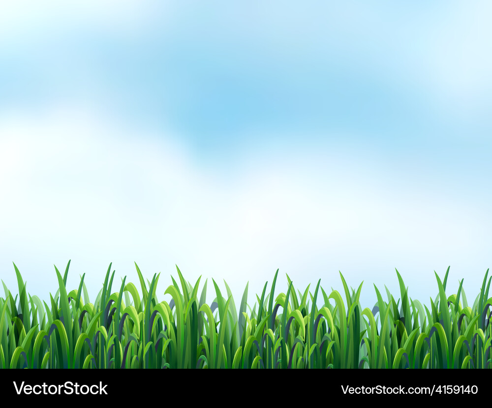 Grass Royalty Free Vector Image - VectorStock