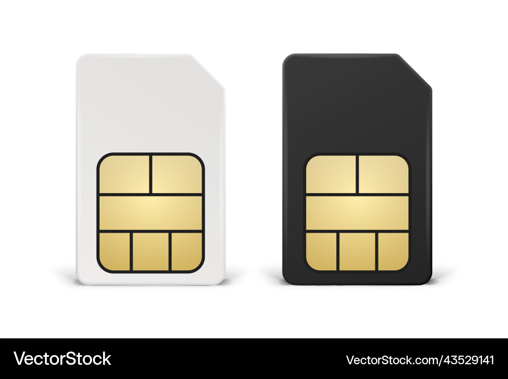 3d realistic white and black plastic sim Vector Image
