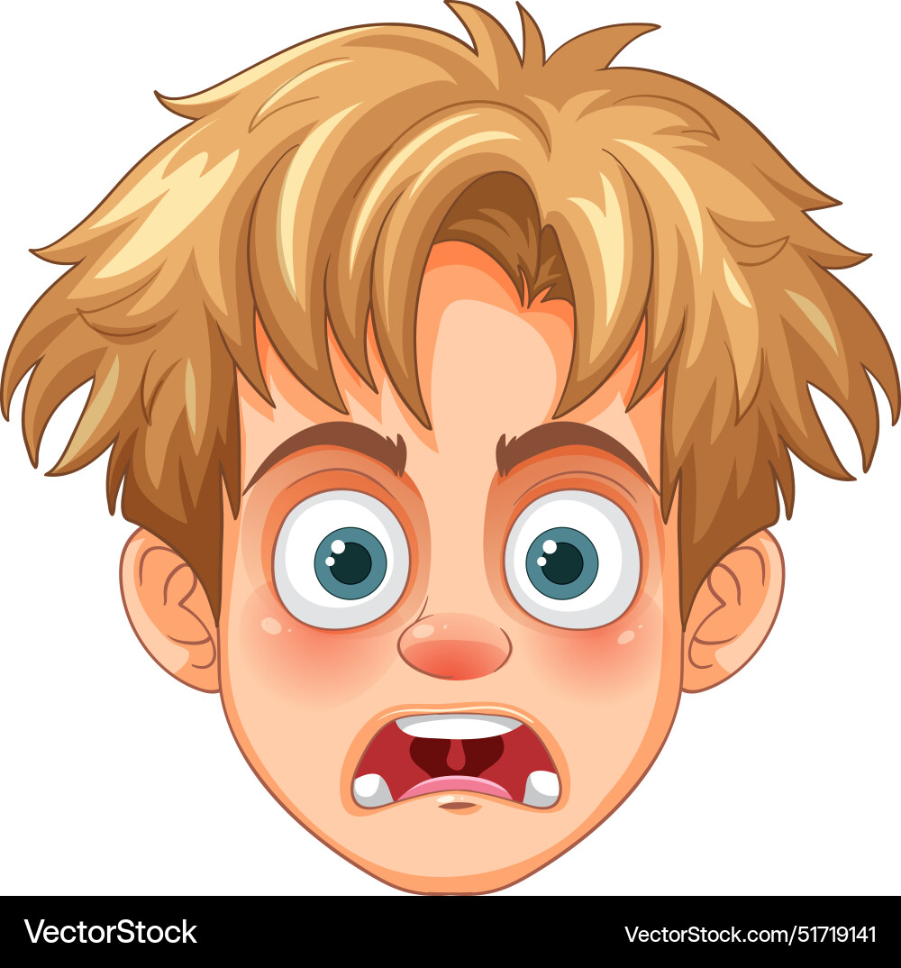 A cartoon boy with shocked face Royalty Free Vector Image