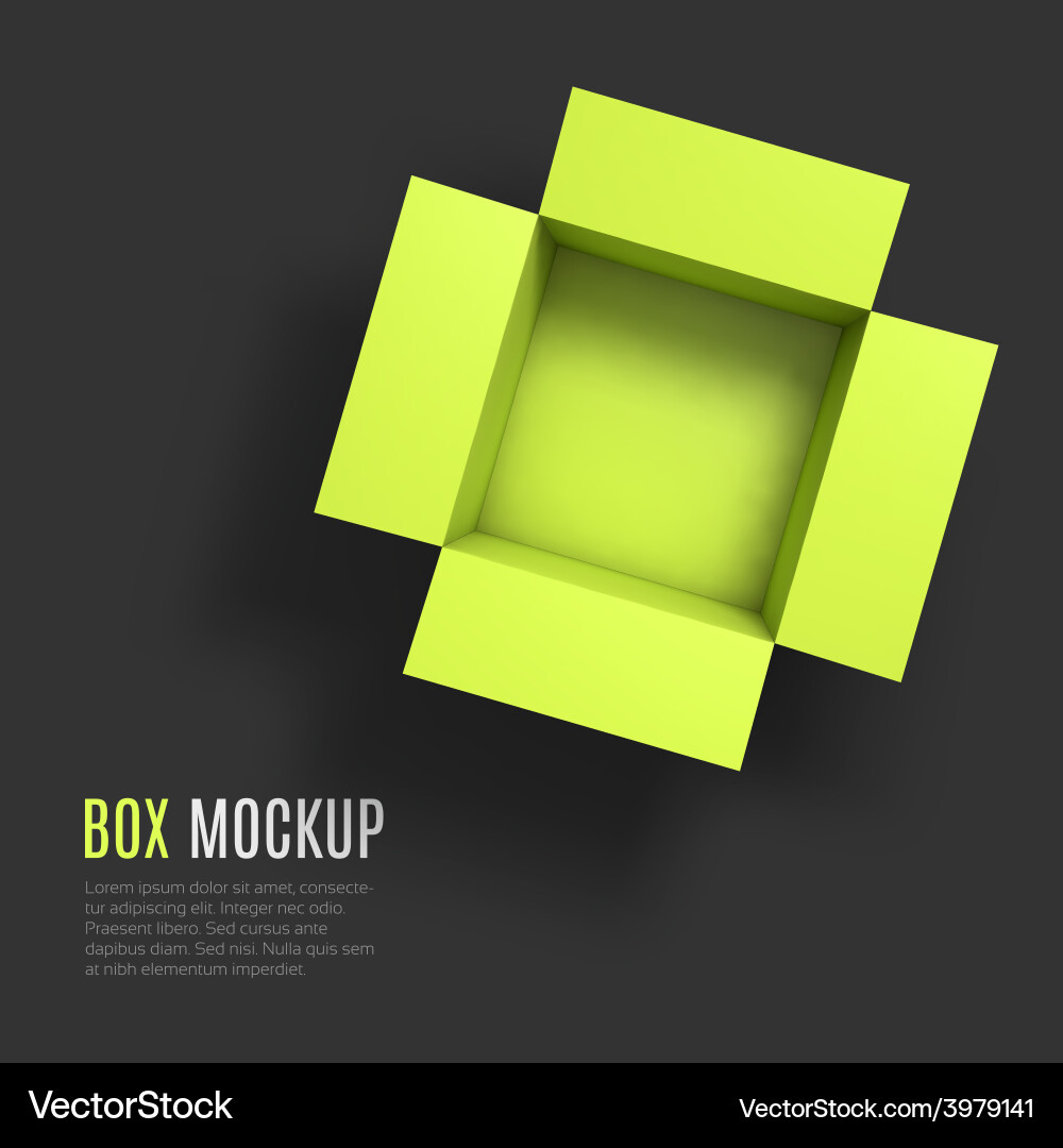 Open box mockup template top view Royalty Free Vector Image
