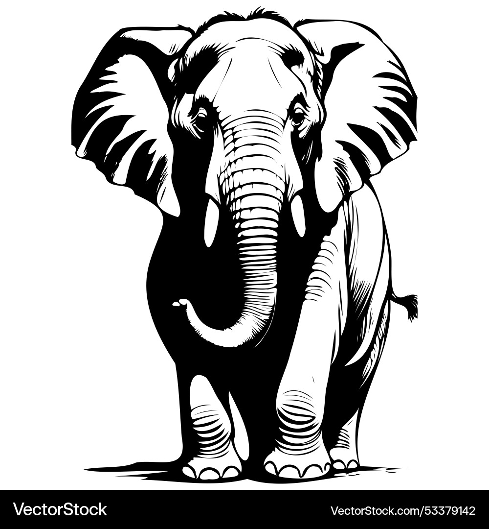 Asian elephant sitting monochrome outline drawing Vector Image