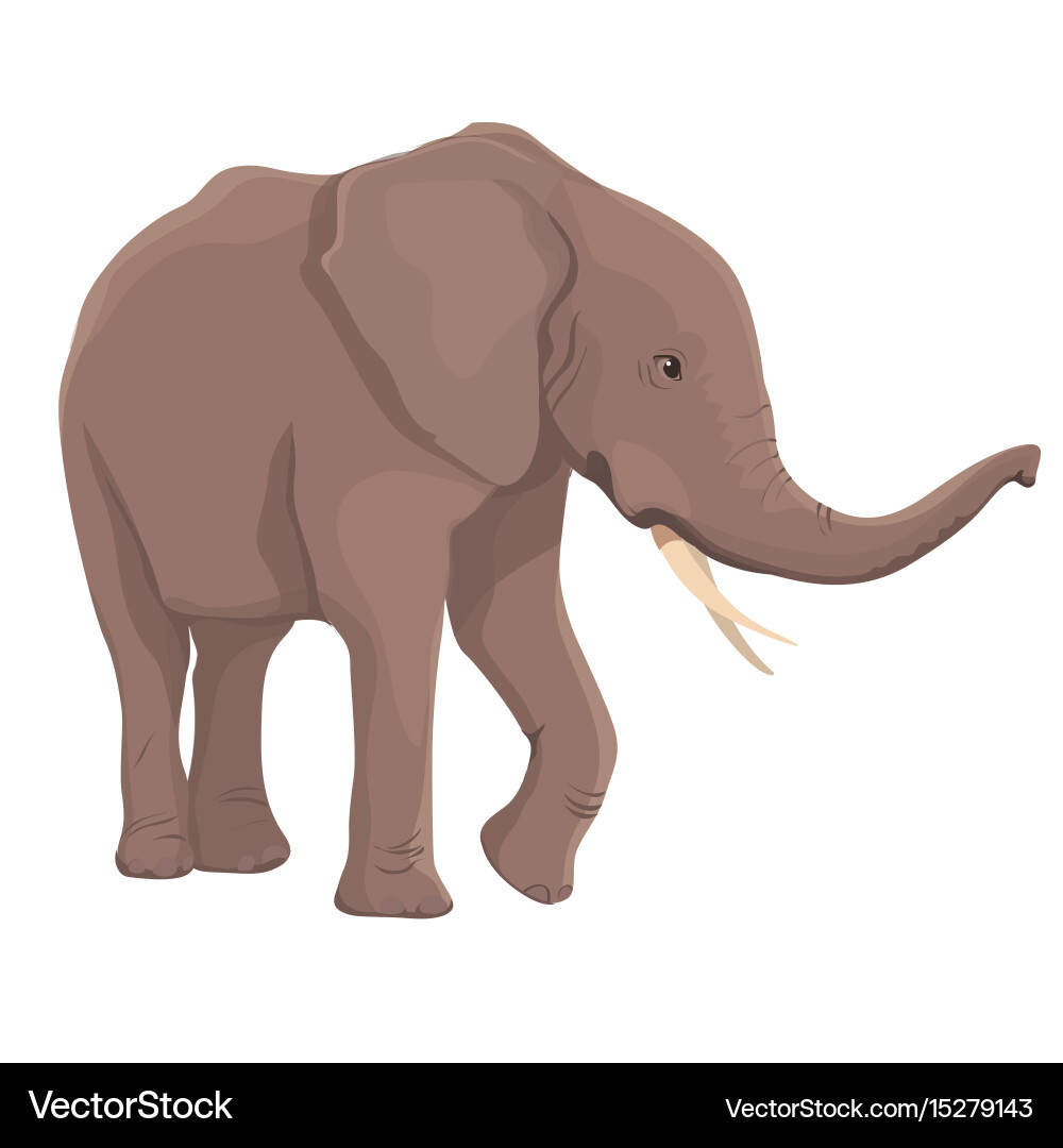 Elephant isolated Royalty Free Vector Image - VectorStock