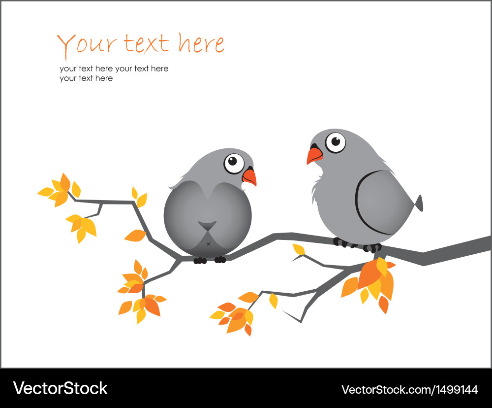 Birds Royalty Free Vector Image - VectorStock