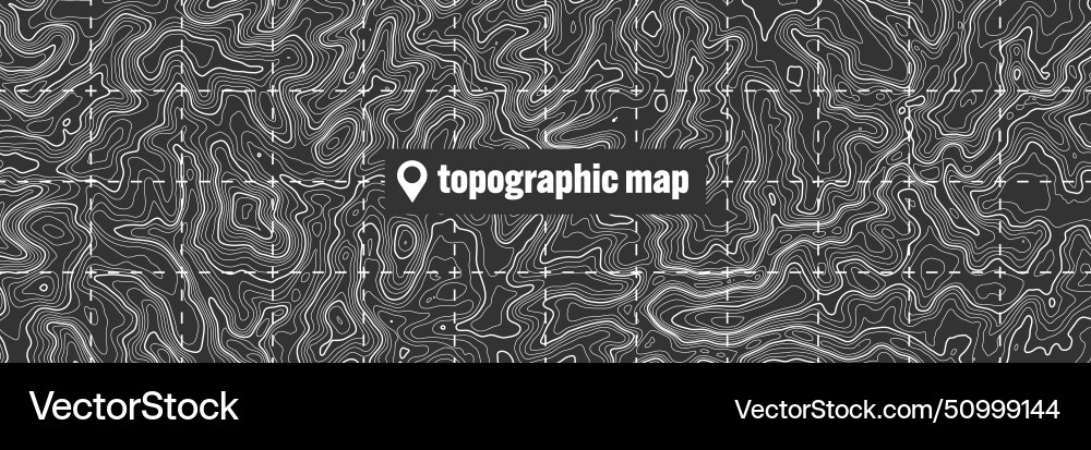 Topographic map with contour lines geographic Vector Image