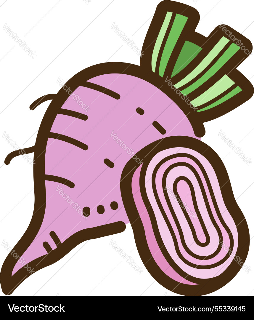 Sugar beet - raw food doodle art Royalty Free Vector Image