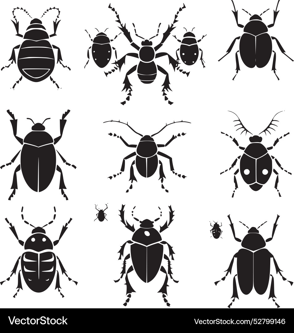 Bug insect Royalty Free Vector Image - VectorStock